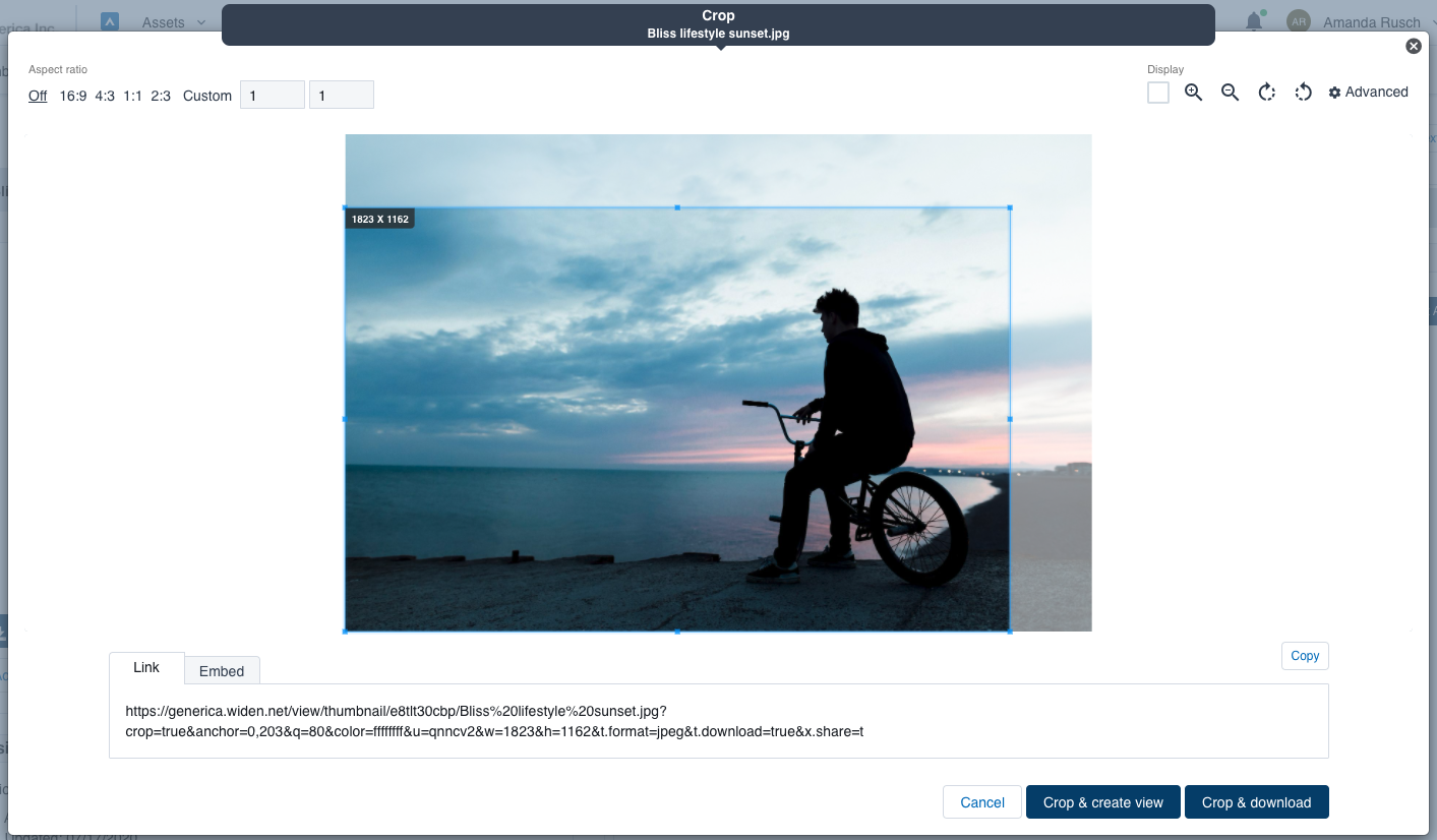 How do I crop an asset?