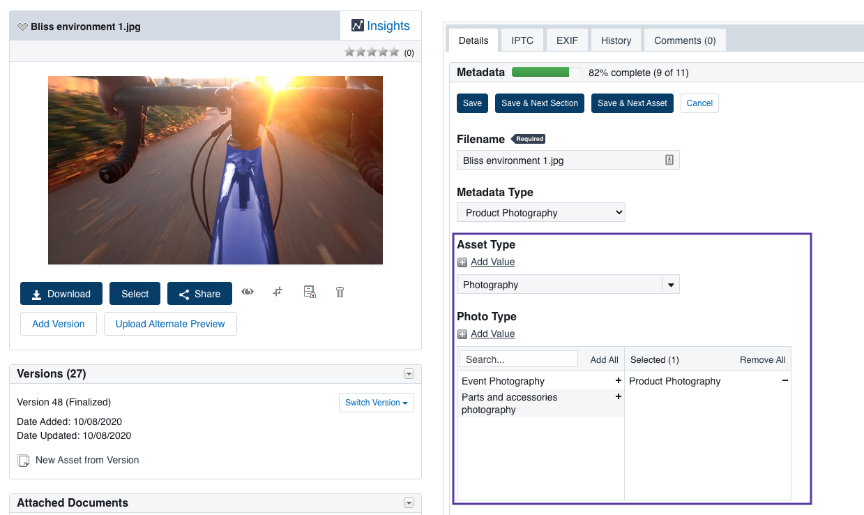 What are dependent metadata fields?