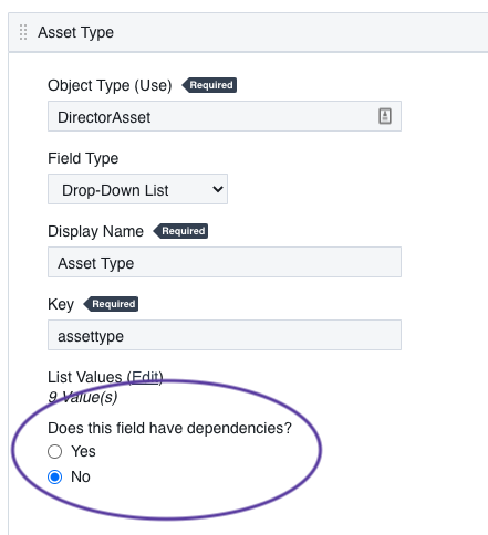 What are dependent metadata fields?