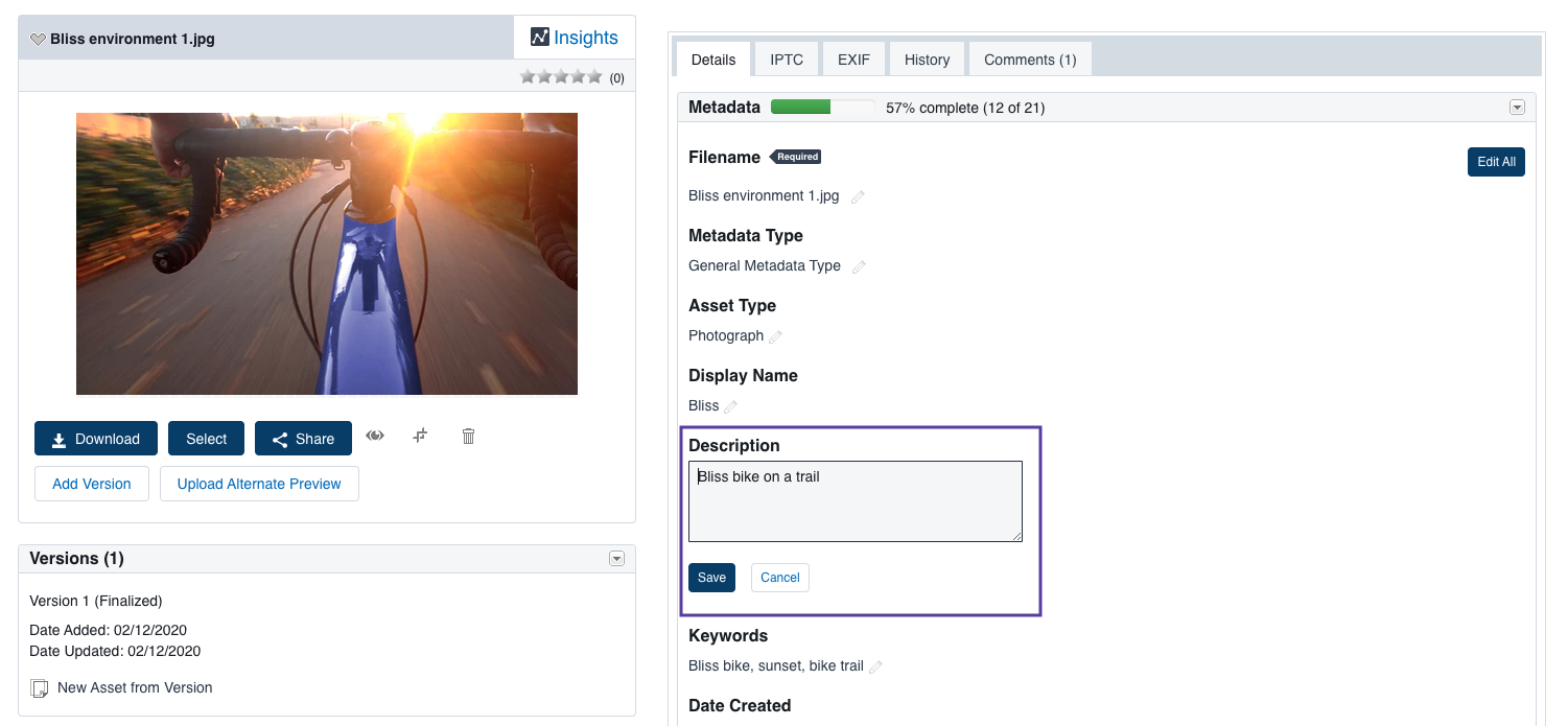 What Are The Metadata Field Options