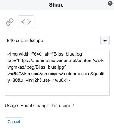 What are share links and embed codes?