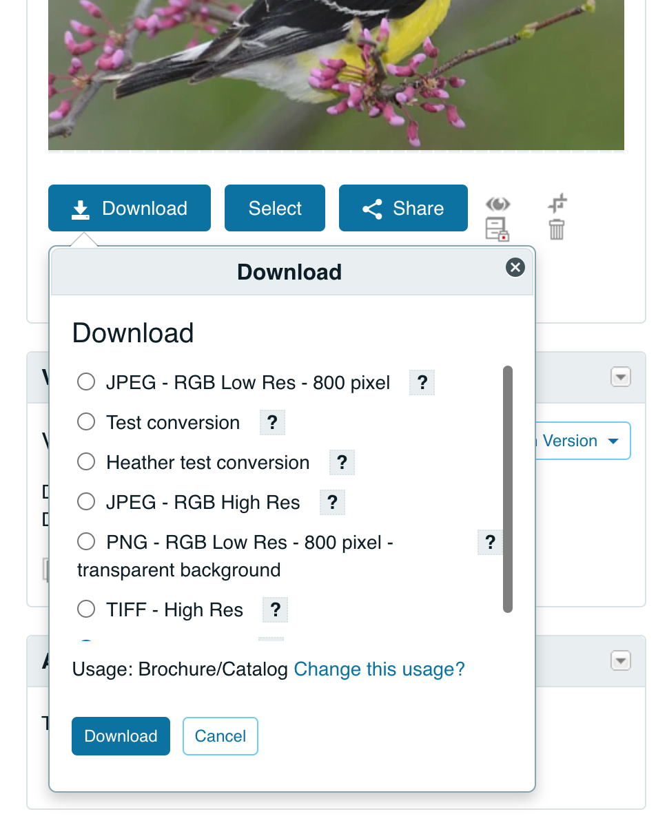 How do I download assets?