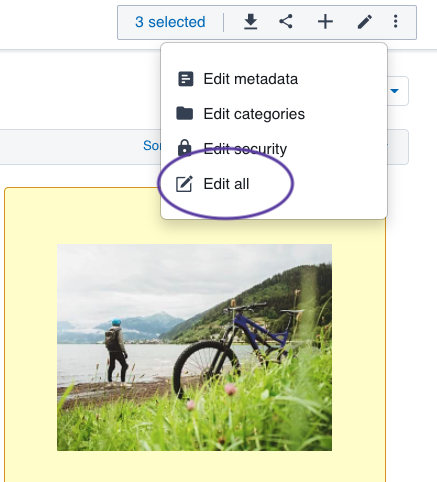 How do I edit metadata, asset categories, and asset groups?