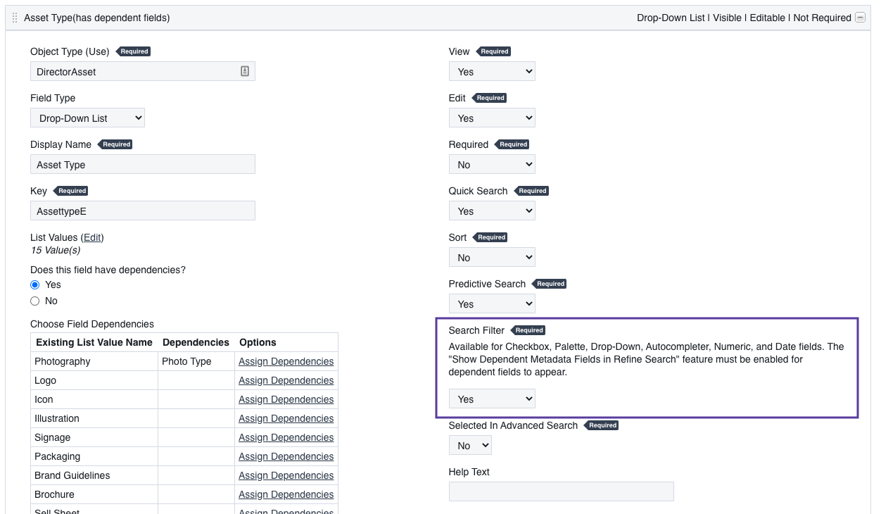 What are dependent metadata fields?