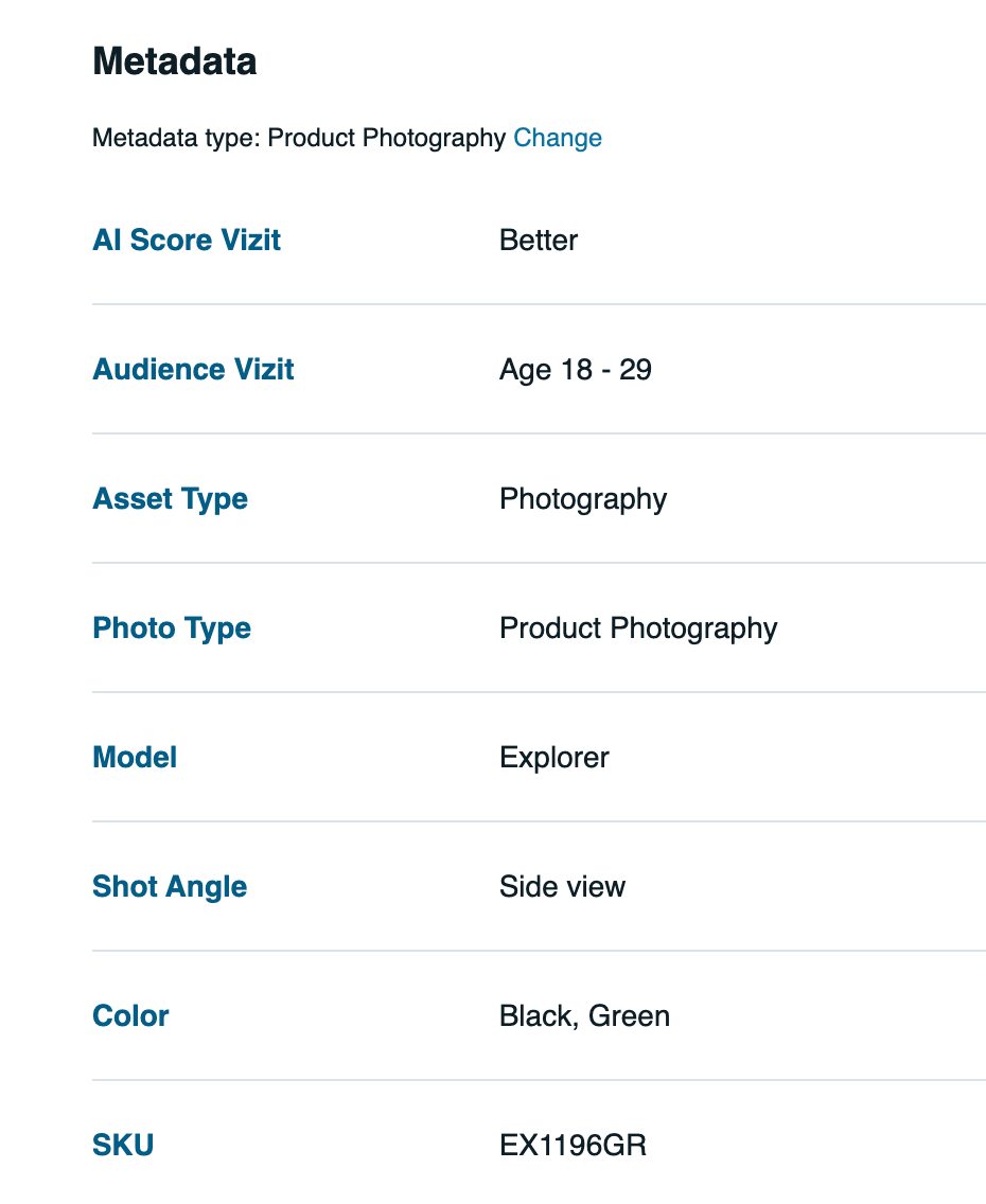 What are metadata fields?