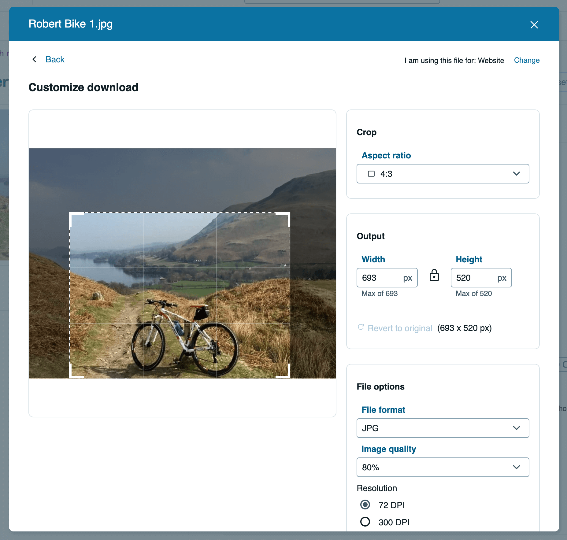How do I download assets?
